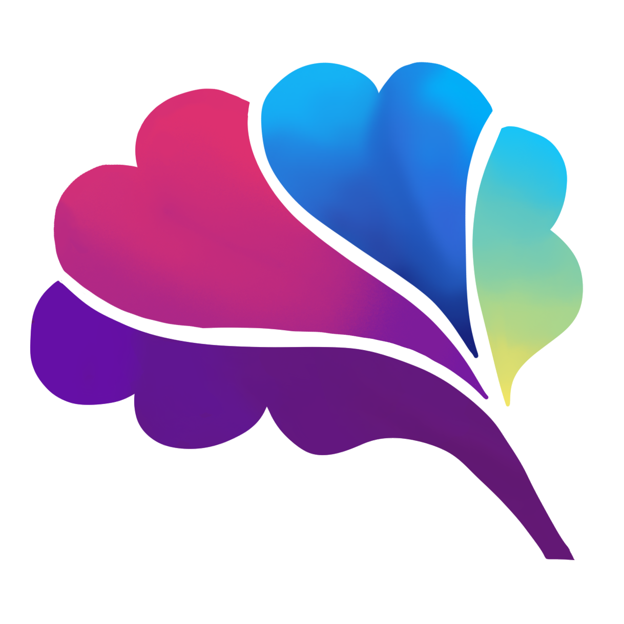 Home - Client Bookings Zanda